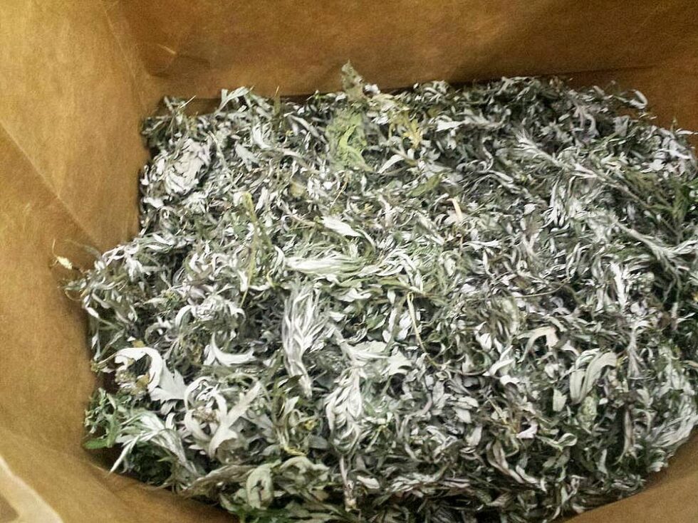 Native Scents, Inc. - About Us - Sage, Sweetgrass, Incense