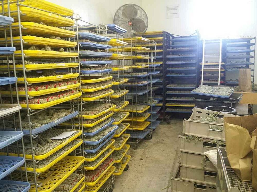 Native Scents, Inc. - About Us - Sage, Sweetgrass, Incense